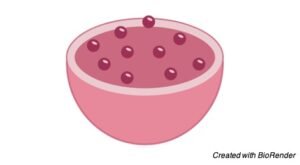Lysosome: Definition, Structure, Function, and Formation