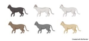 Multiple Alleles: Definition, Types, and Examples