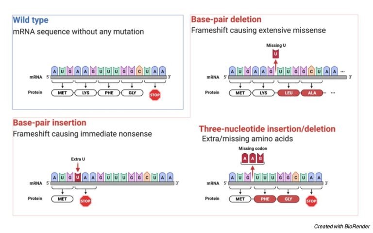 Mutations: Definition, Types, Causes, Facts I ResearchTweet