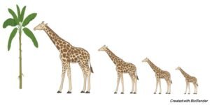 Natural Selection: Definition, Principle, and Examples